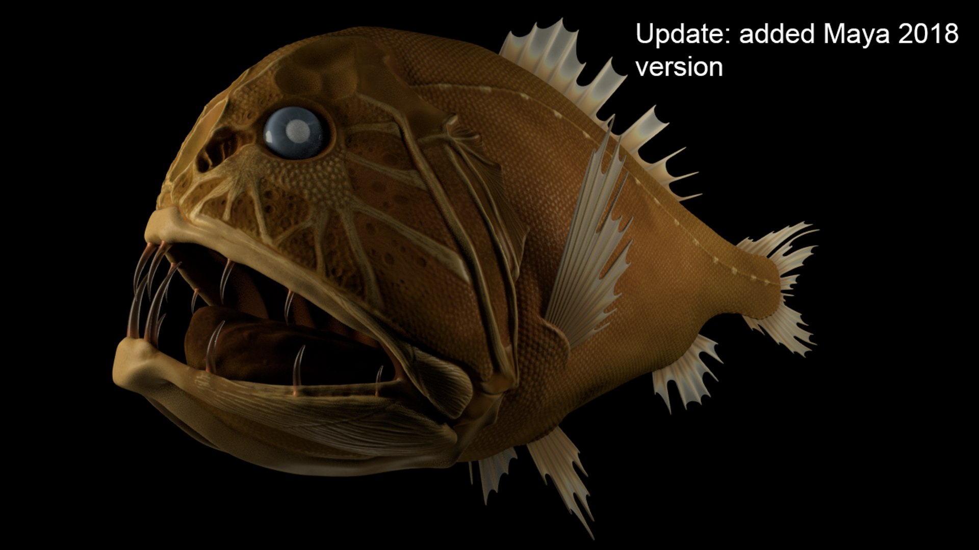 3d Fangtooth Fish Model