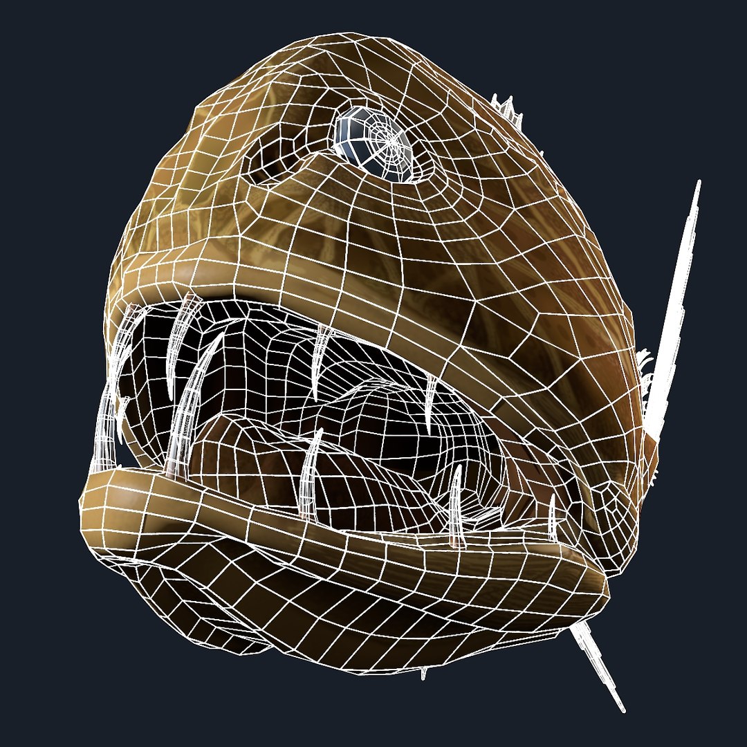 3d Fangtooth Fish Model