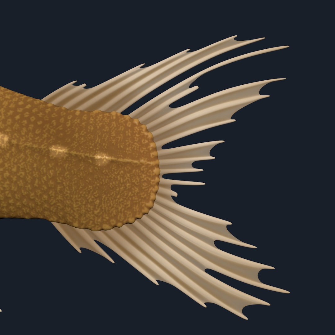 3d Fangtooth Fish Model