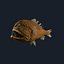 3d Fangtooth Fish Model