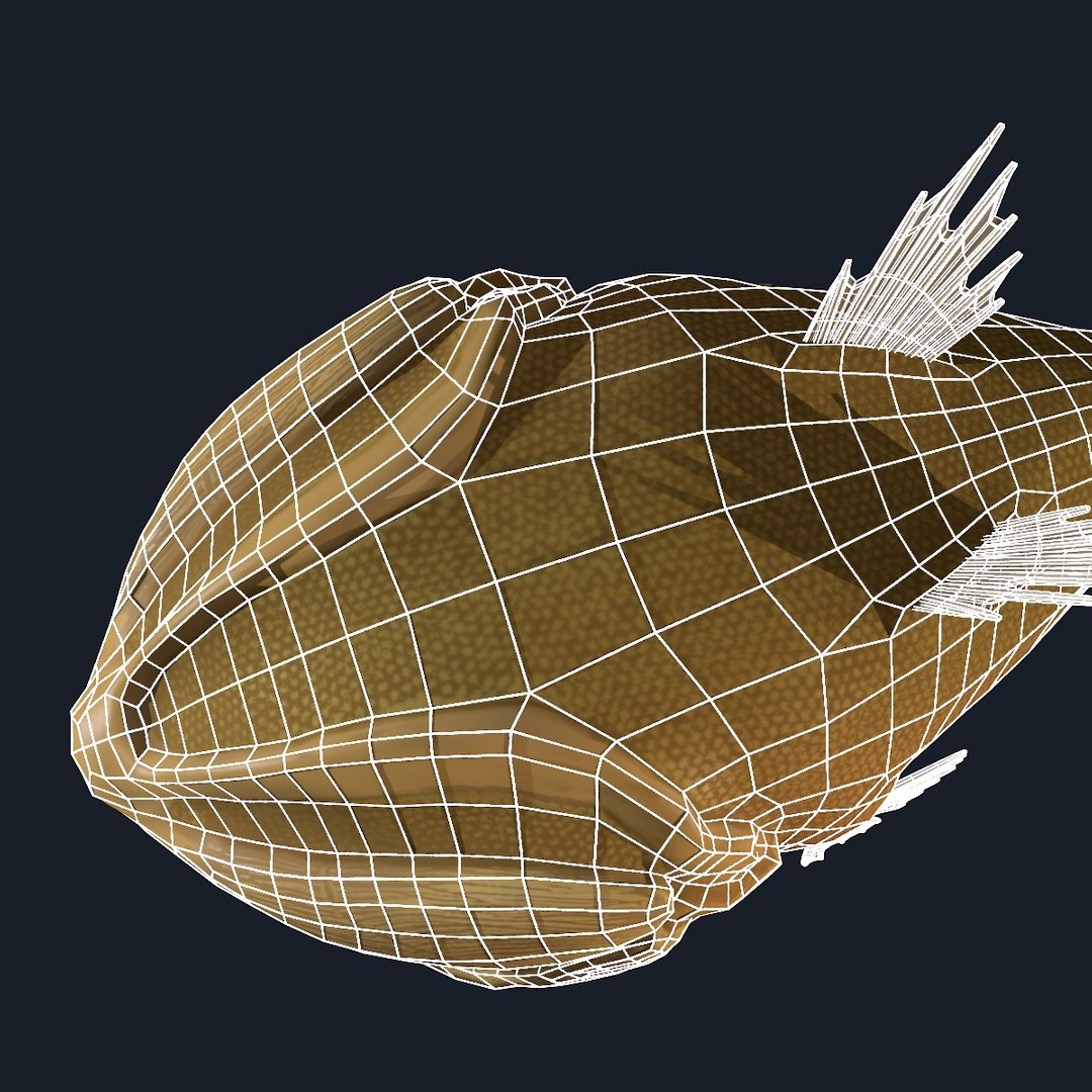 3d Fangtooth Fish Model