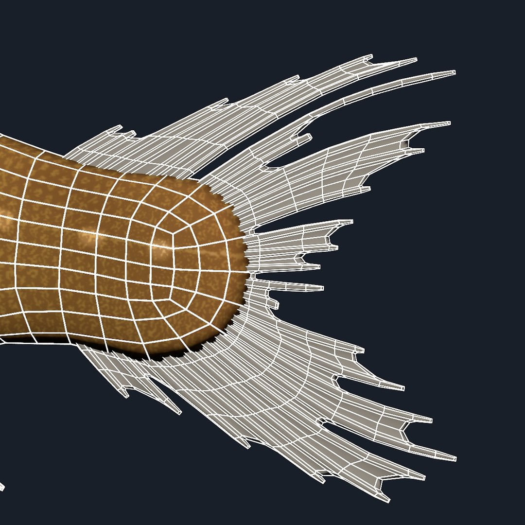 3d Fangtooth Fish Model