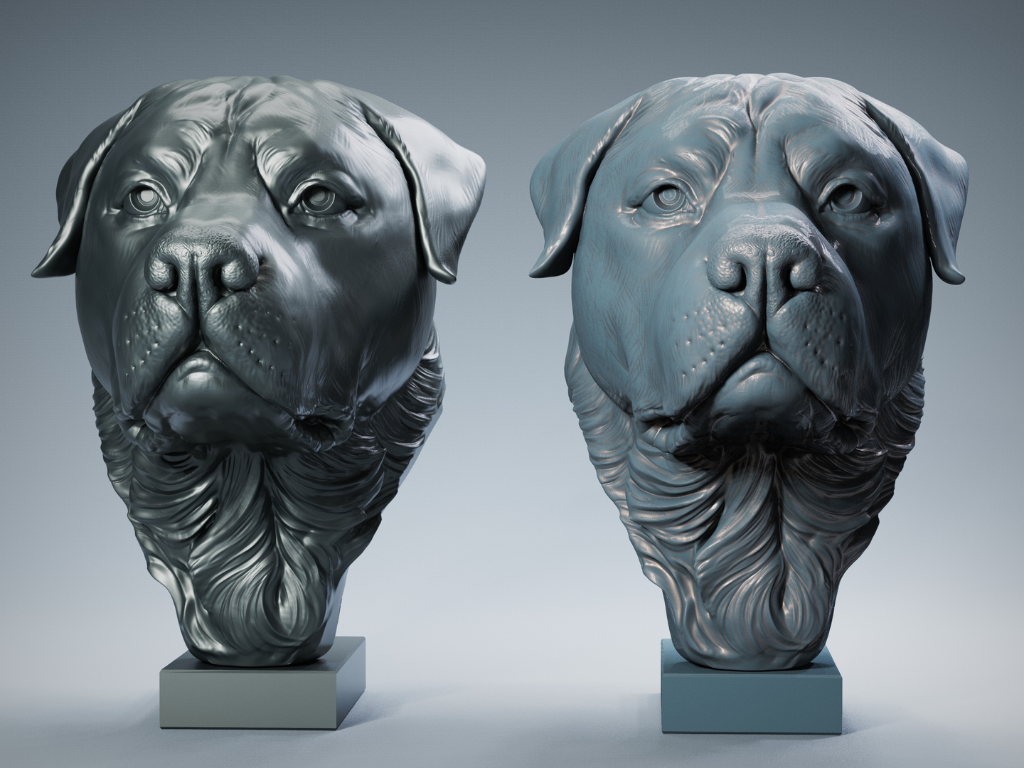 3D модель Rottweiler head - TurboSquid 2020482