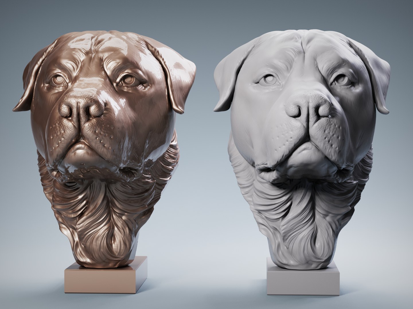 3D модель Rottweiler head - TurboSquid 2020482