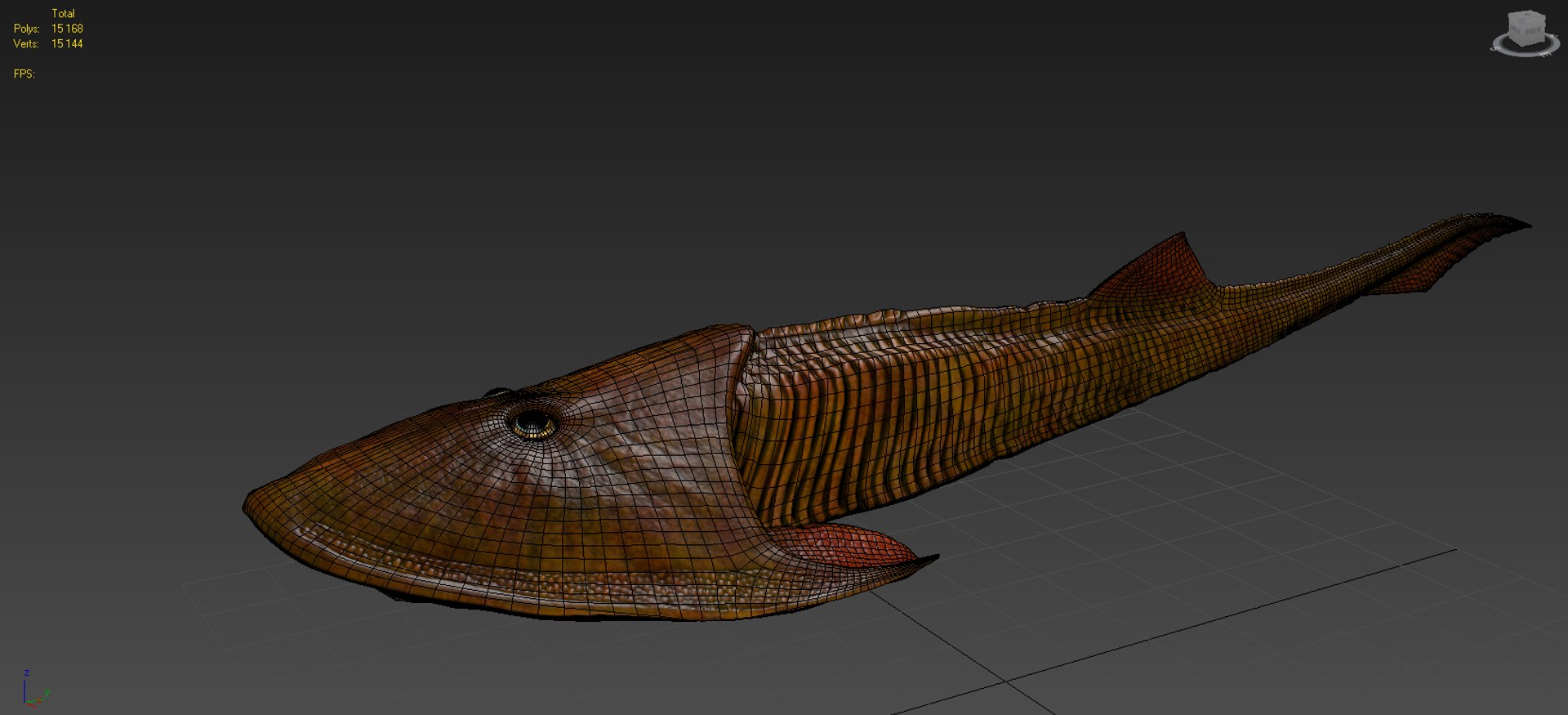 Cephalaspis 3D Model - TurboSquid 1354450