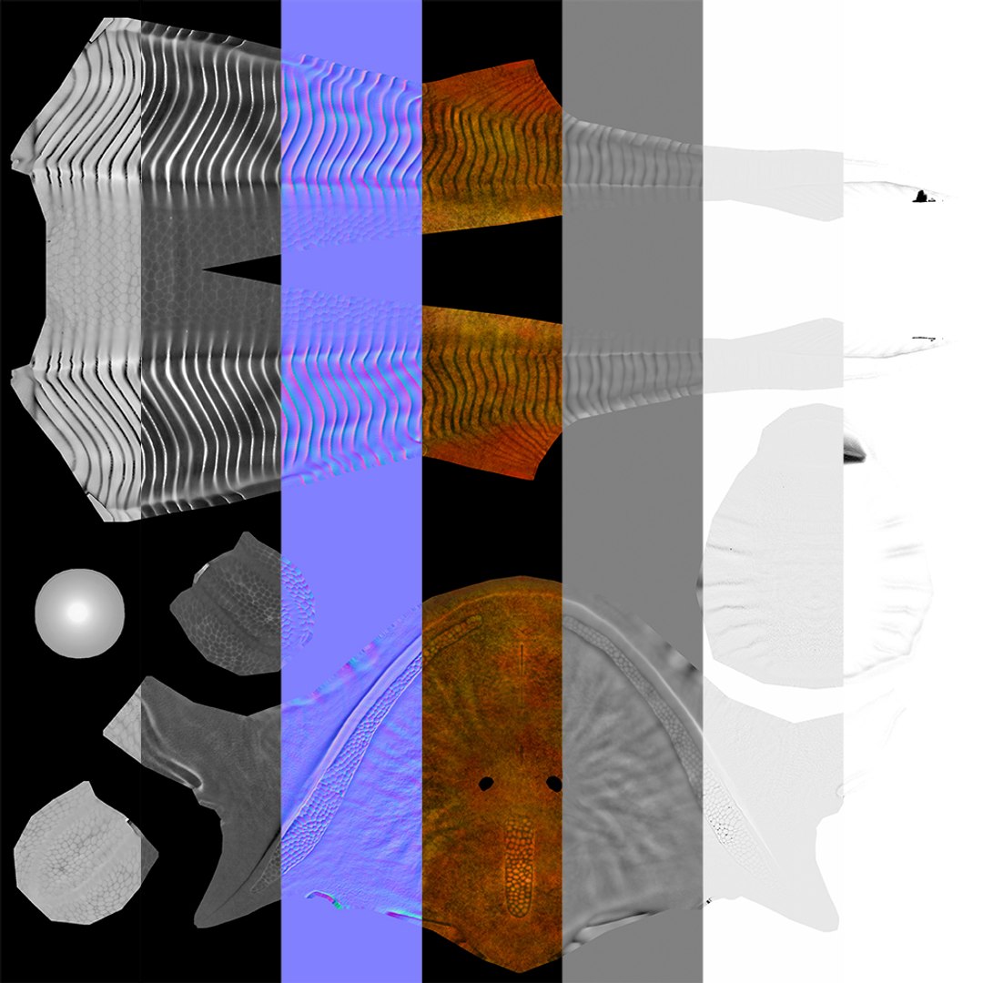 Cephalaspis 3D Model - TurboSquid 1354450