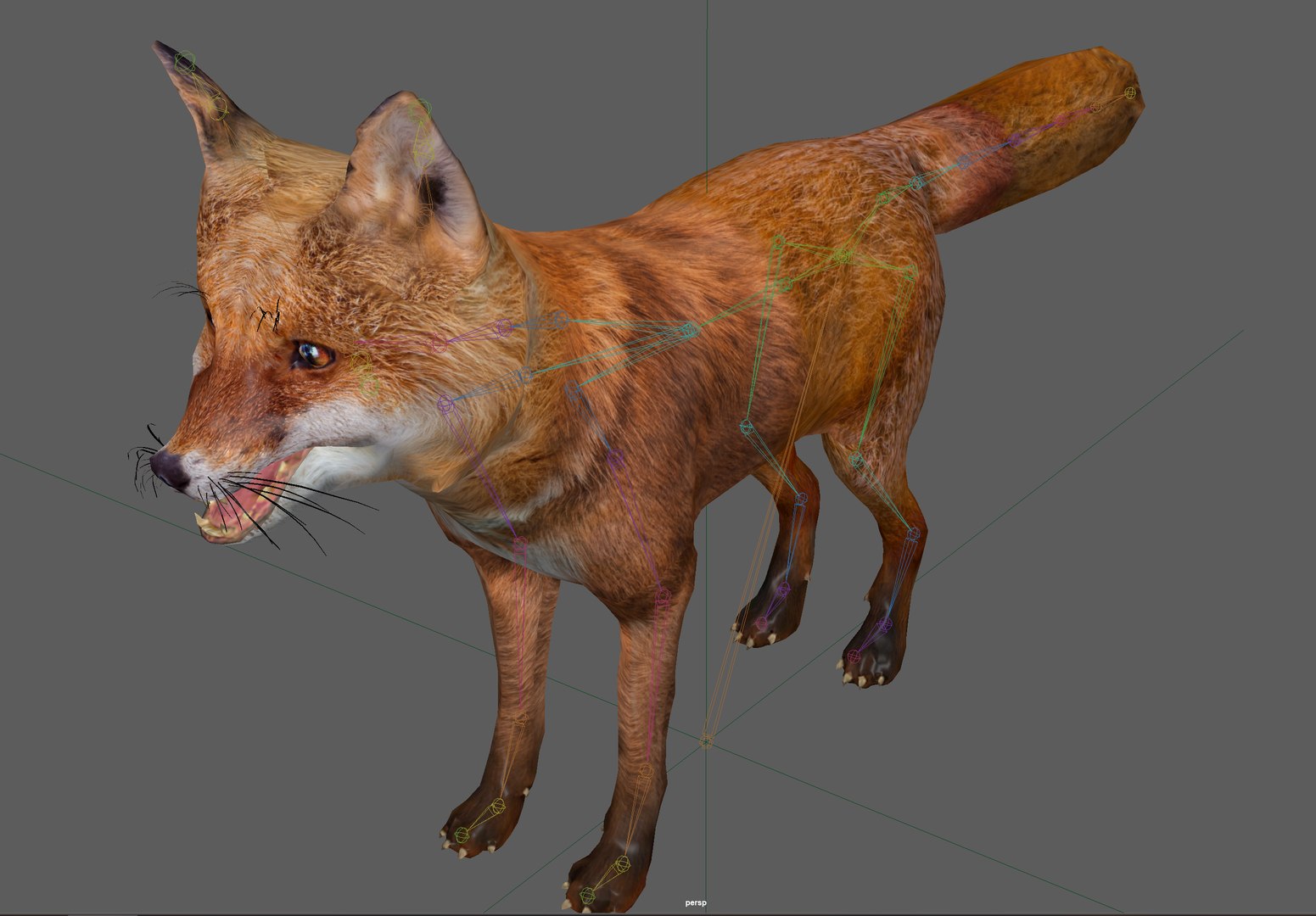 Fox Rigged 3D model - TurboSquid 1911560