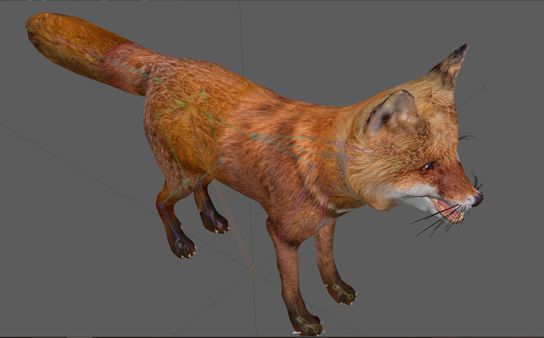 Fox Rigged 3D model - TurboSquid 1911560