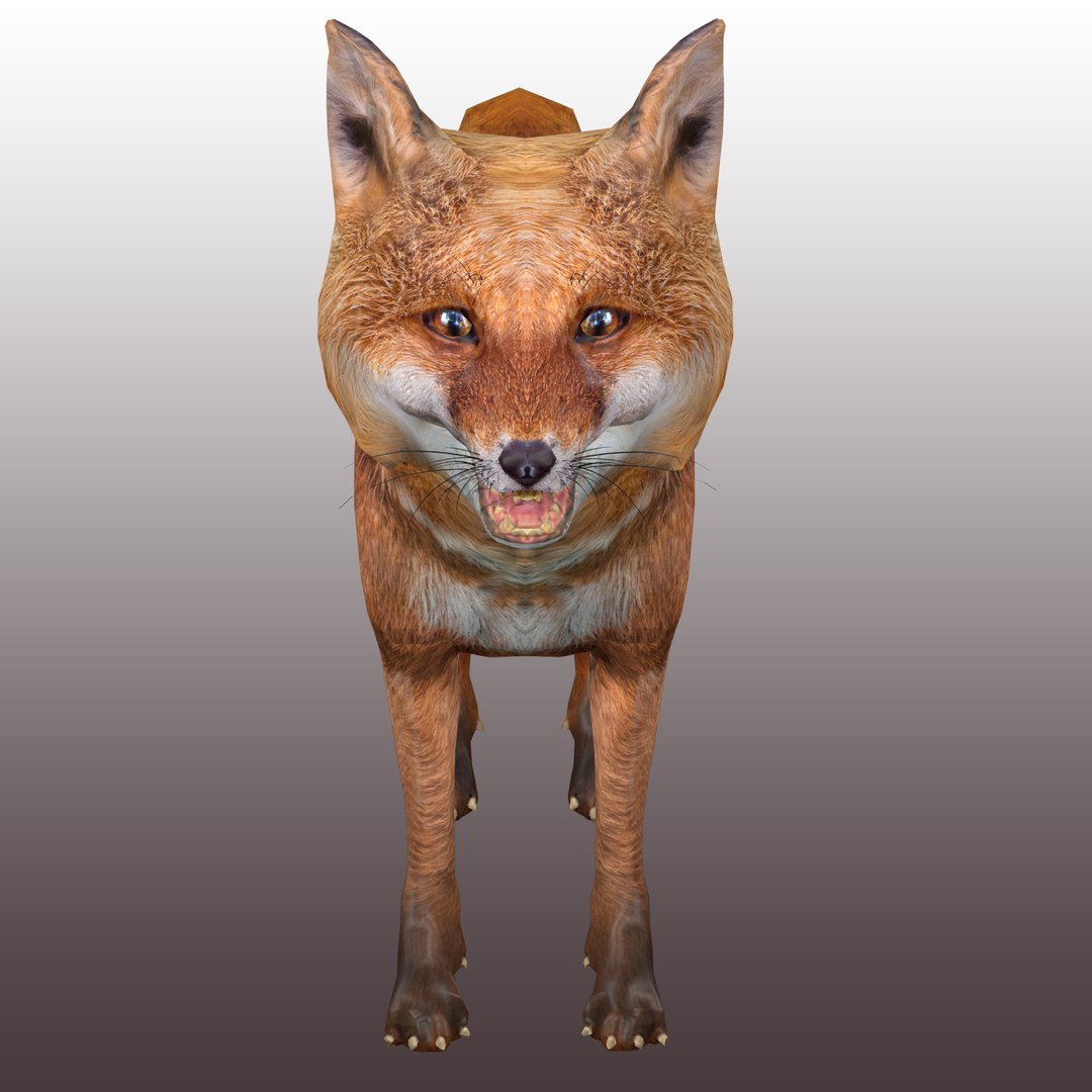 Fox Rigged 3D model - TurboSquid 1911560