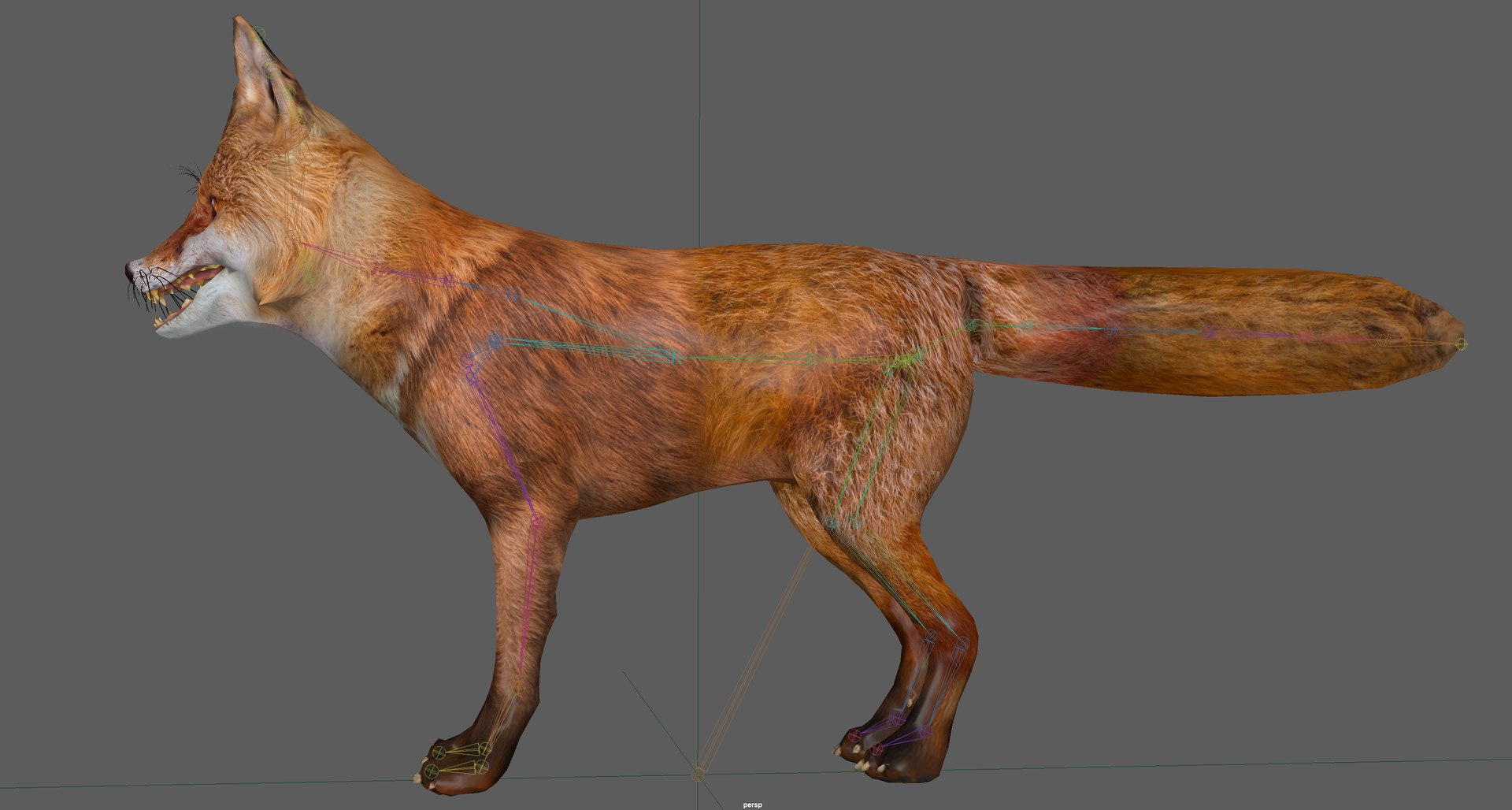 Fox Rigged 3D model - TurboSquid 1911560