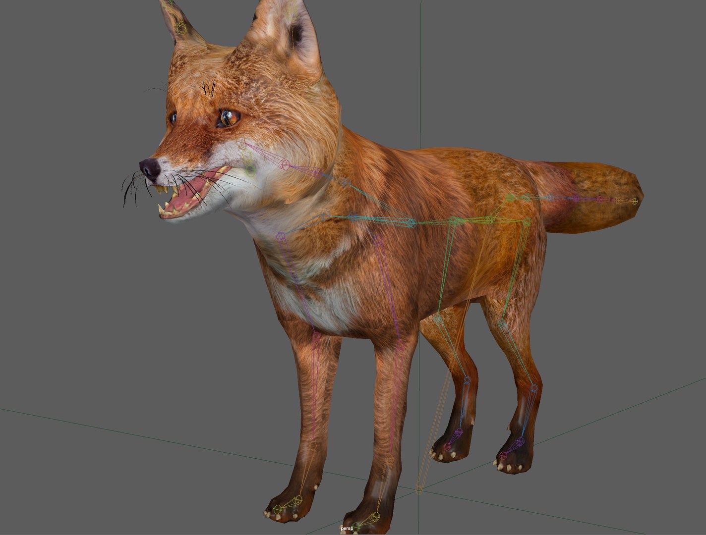 Fox Rigged 3D model - TurboSquid 1911560
