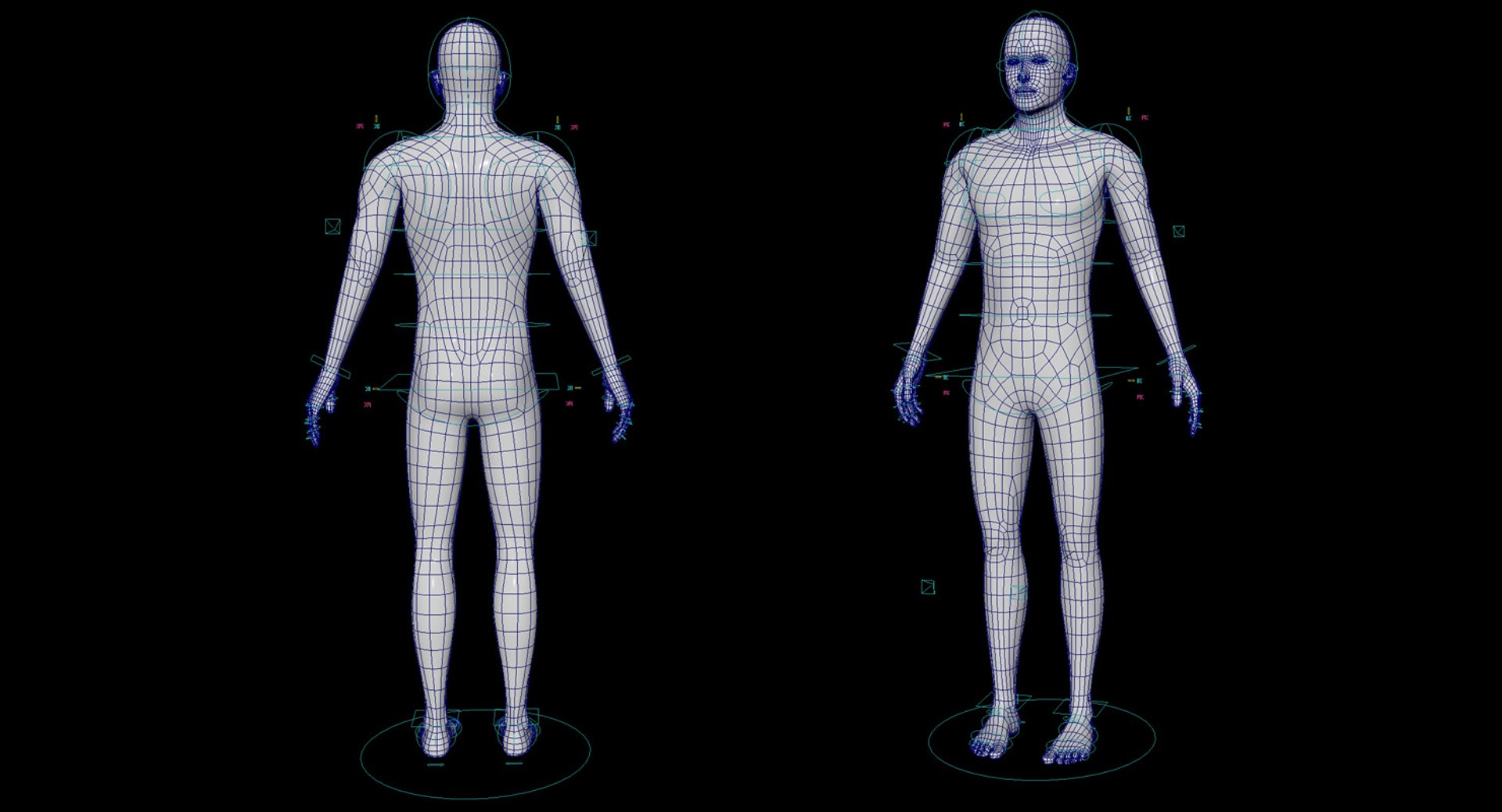 3D Model Gender Neutral Rigged Human - TurboSquid 1272074