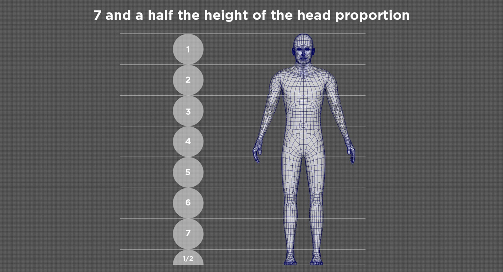 3D Model Gender Neutral Rigged Human - TurboSquid 1272074