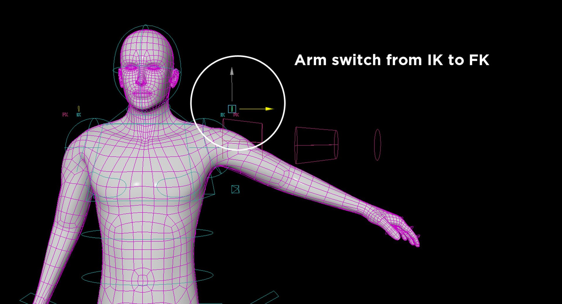 3D Model Gender Neutral Rigged Human - TurboSquid 1272074