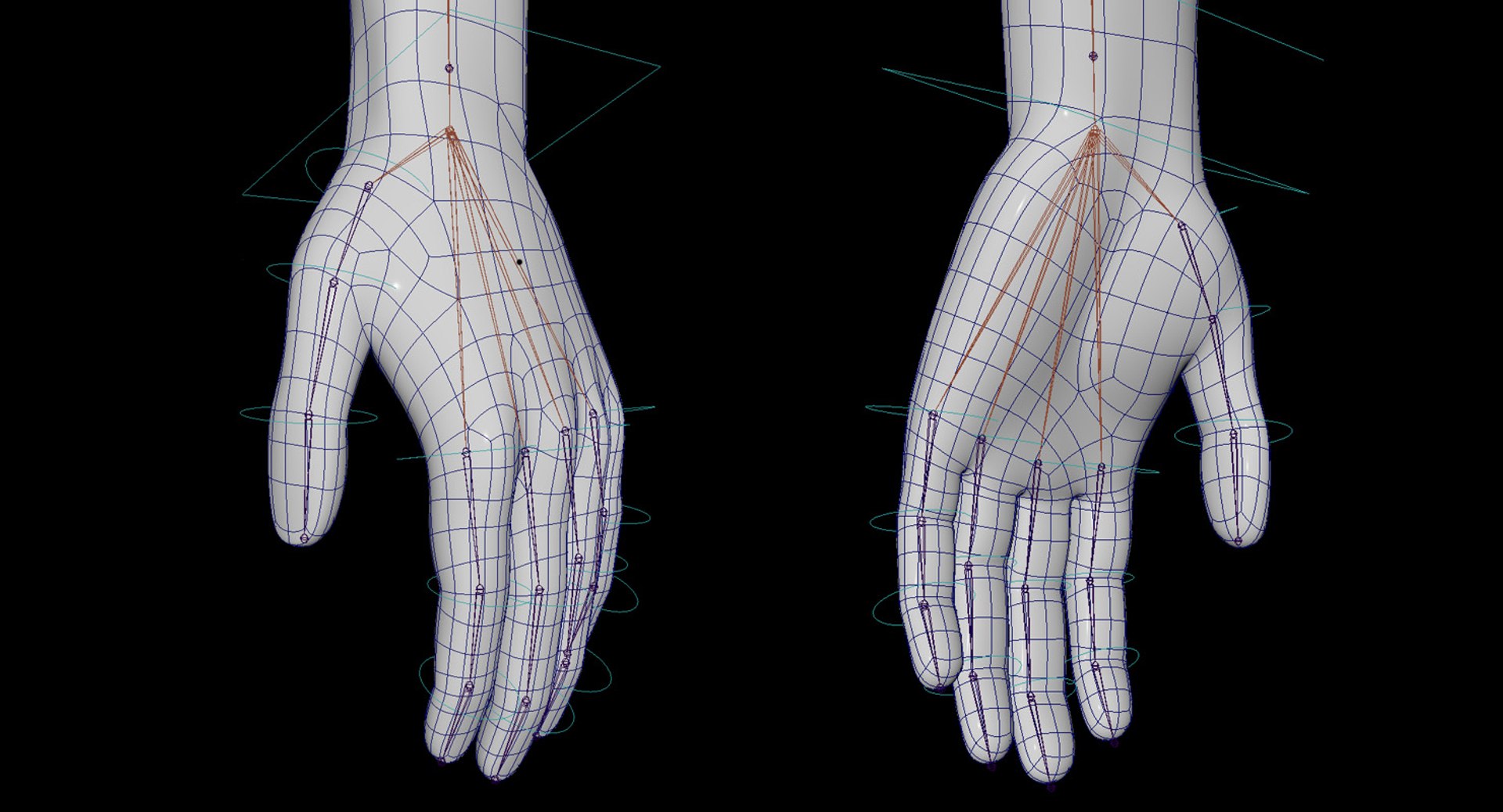 3D Model Gender Neutral Rigged Human - TurboSquid 1272074