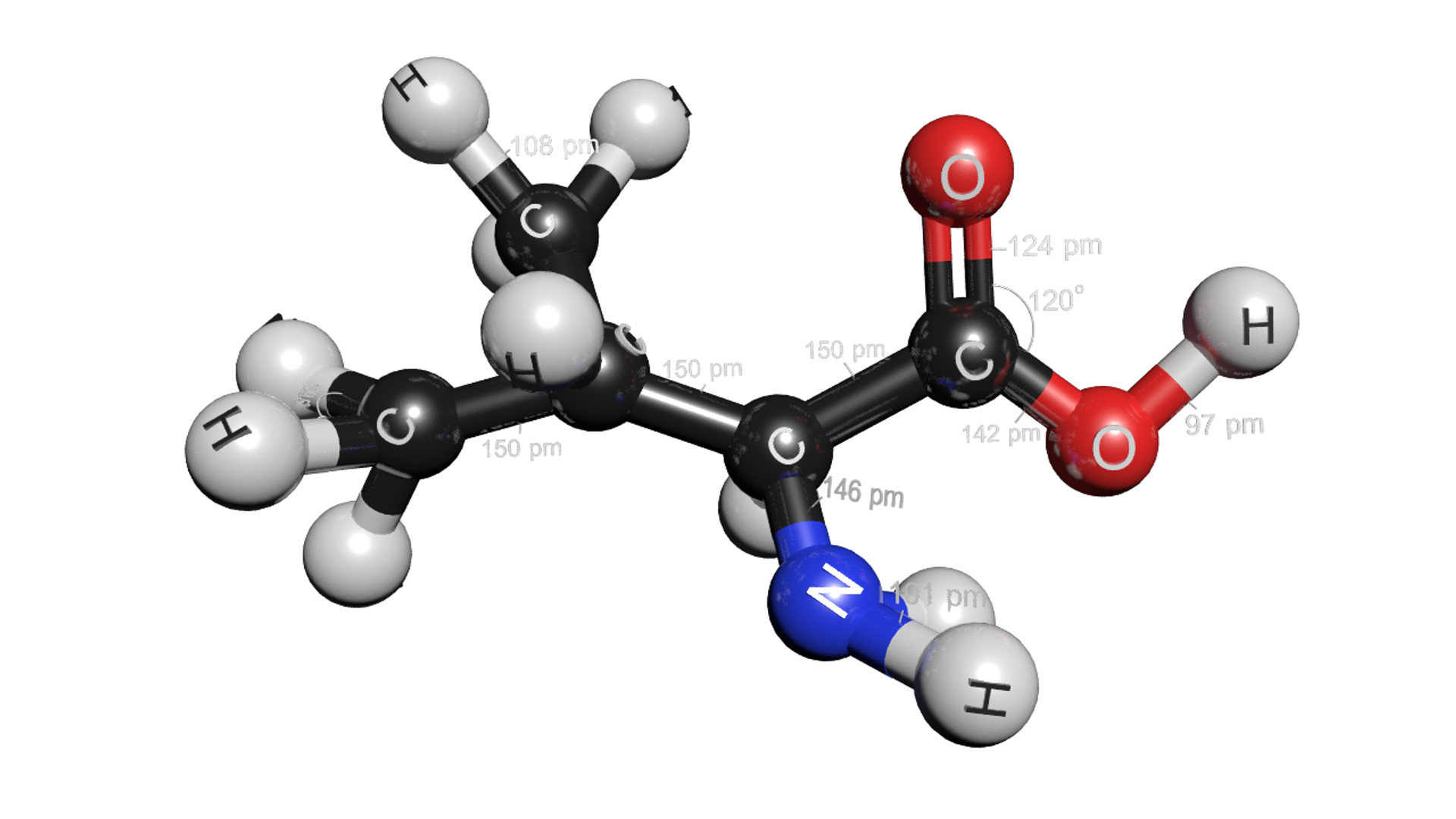 Valine molecule c5h11no2 3D model - TurboSquid 1427444