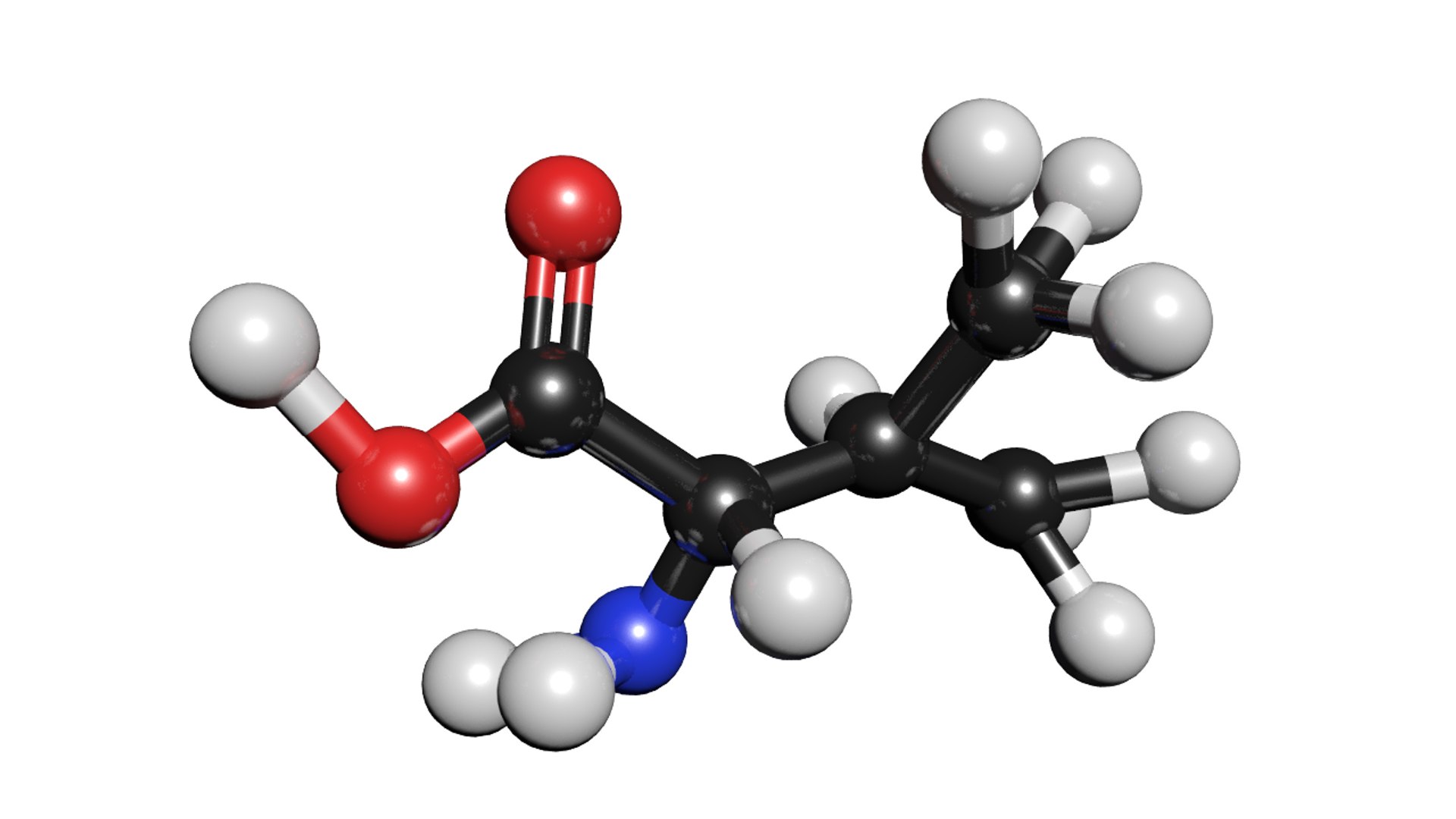 Valine molecule c5h11no2 3D model - TurboSquid 1427444