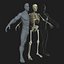3d Male Skeleton Skin Body
