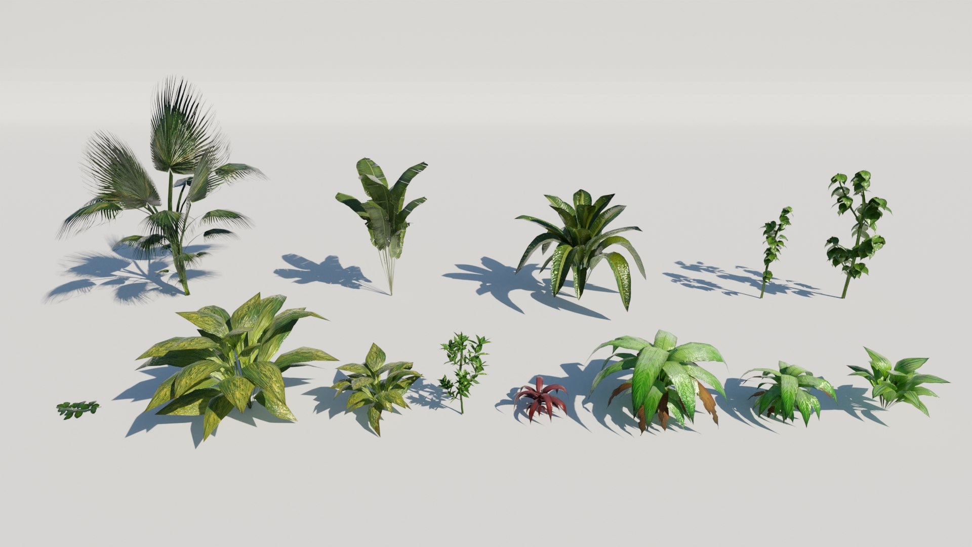 3D Plant Tropical Model - TurboSquid 1669070