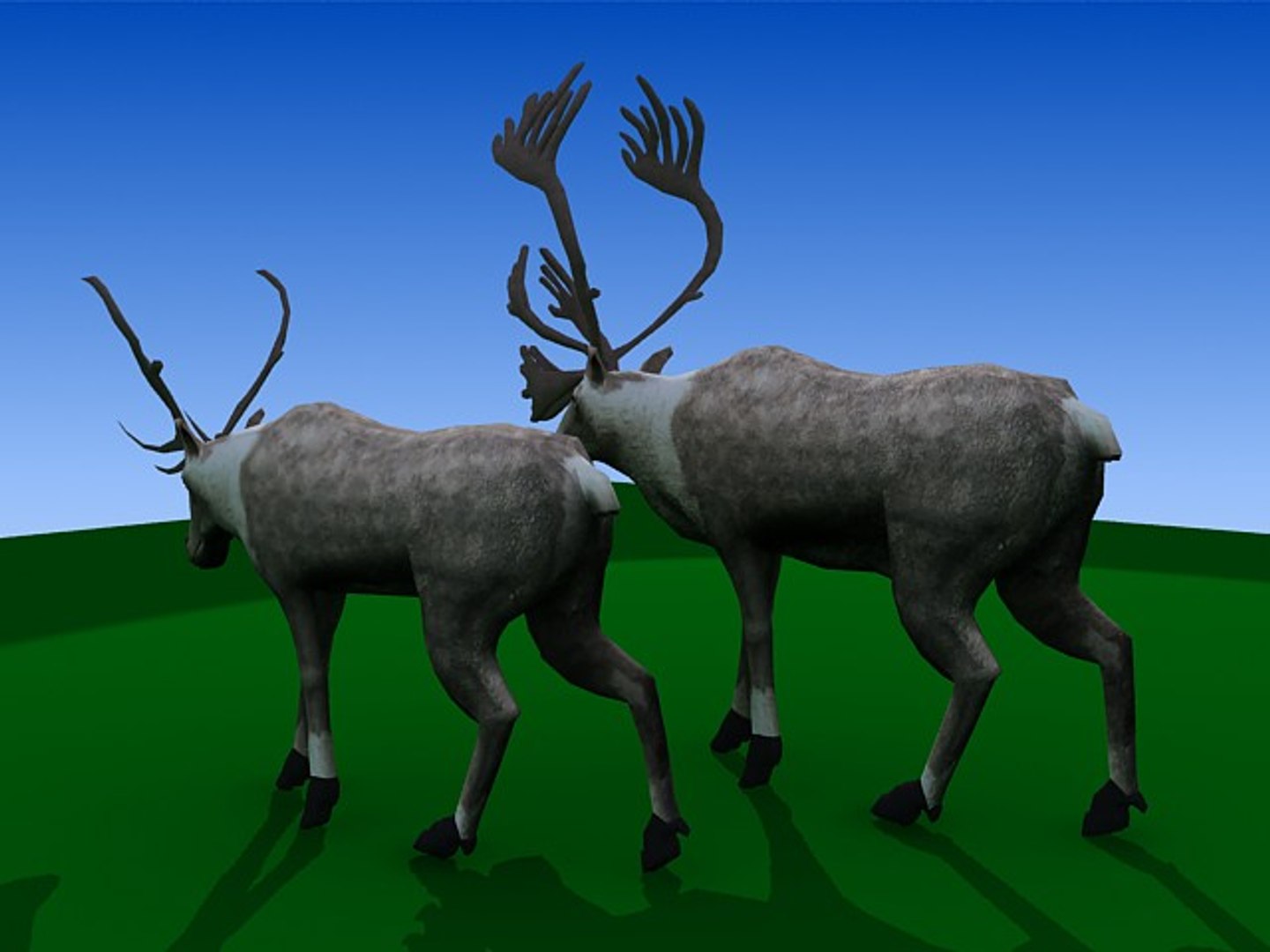 Caribou Couple 3d 3ds