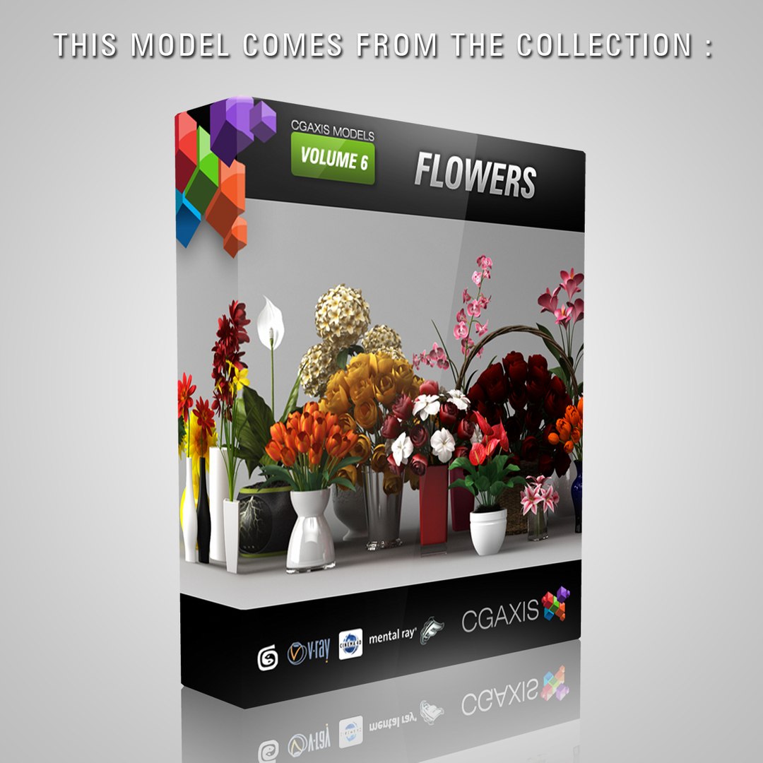 Plant C4d