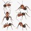 Ant Poses 3d Model