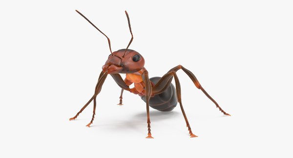 ant poses 3d model