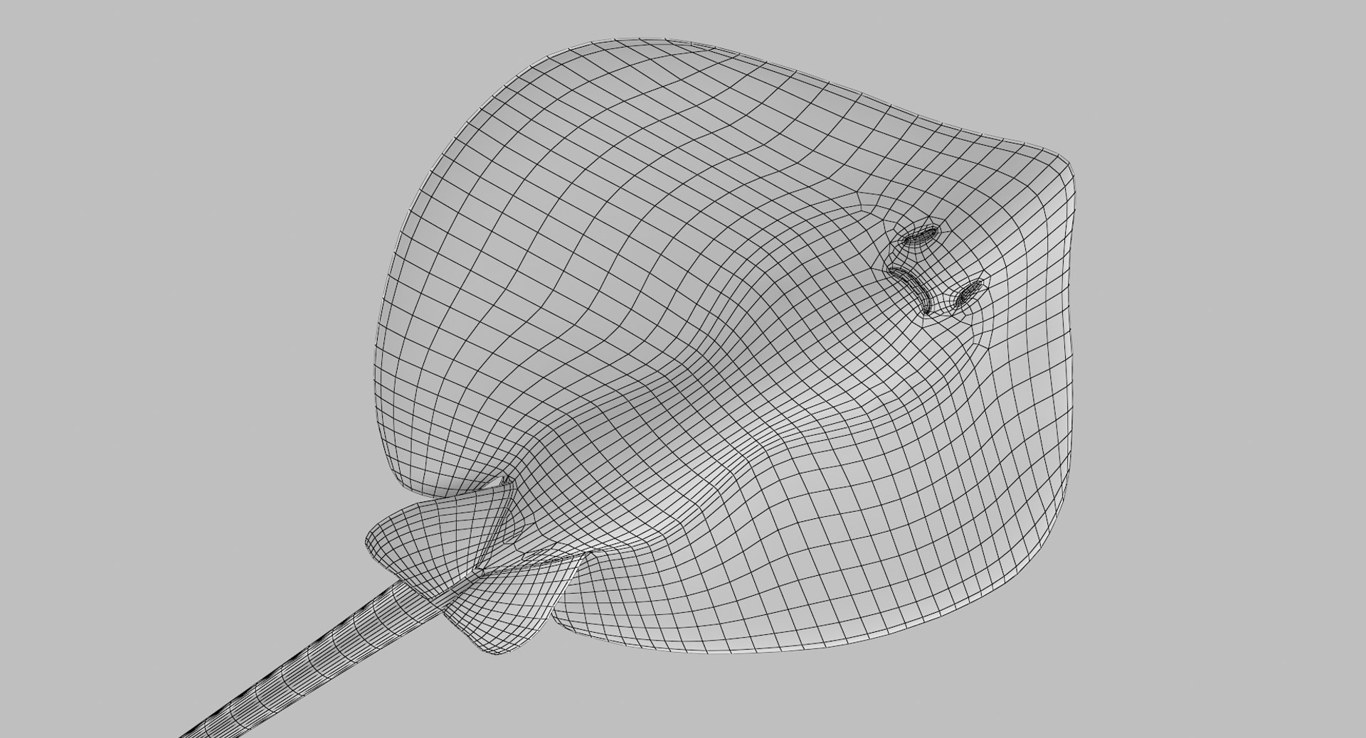 3D Atlantic Stingray Model - TurboSquid 1418155