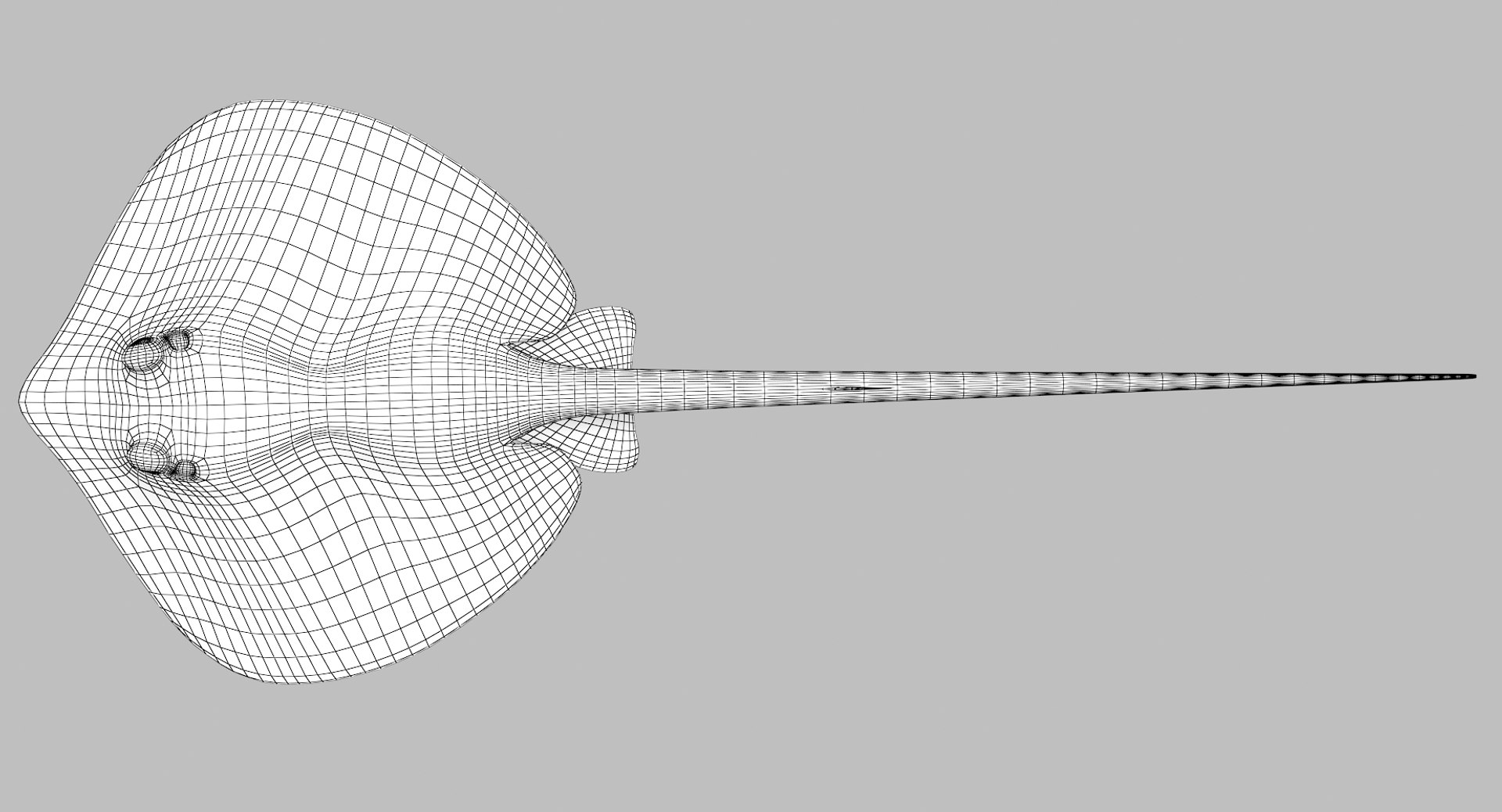 3D Atlantic Stingray Model - TurboSquid 1418155