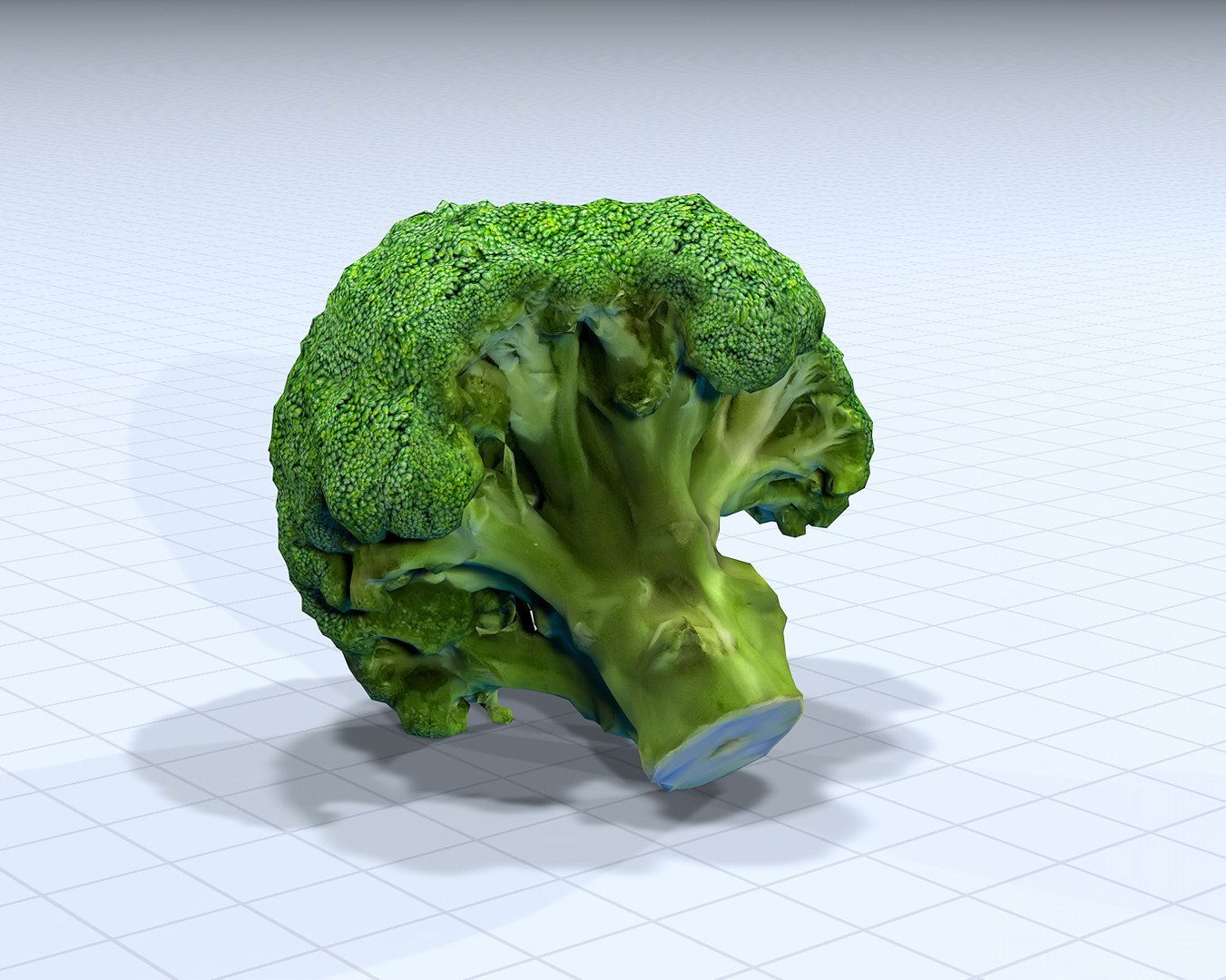 Broccoli 3D Model - TurboSquid 1426954