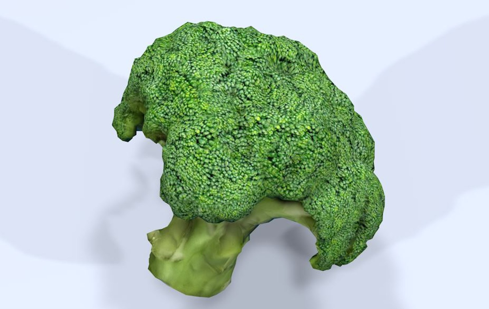 Broccoli 3D Model - TurboSquid 1426954