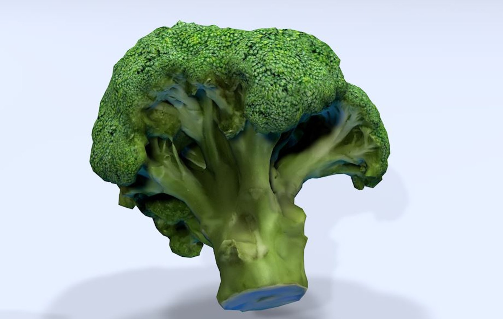 Broccoli 3D Model - TurboSquid 1426954
