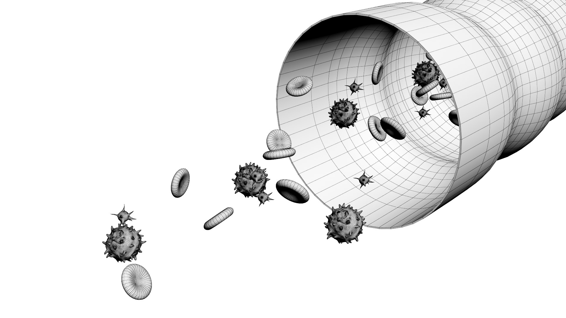 Bloodstream 3D Model - TurboSquid 1969384