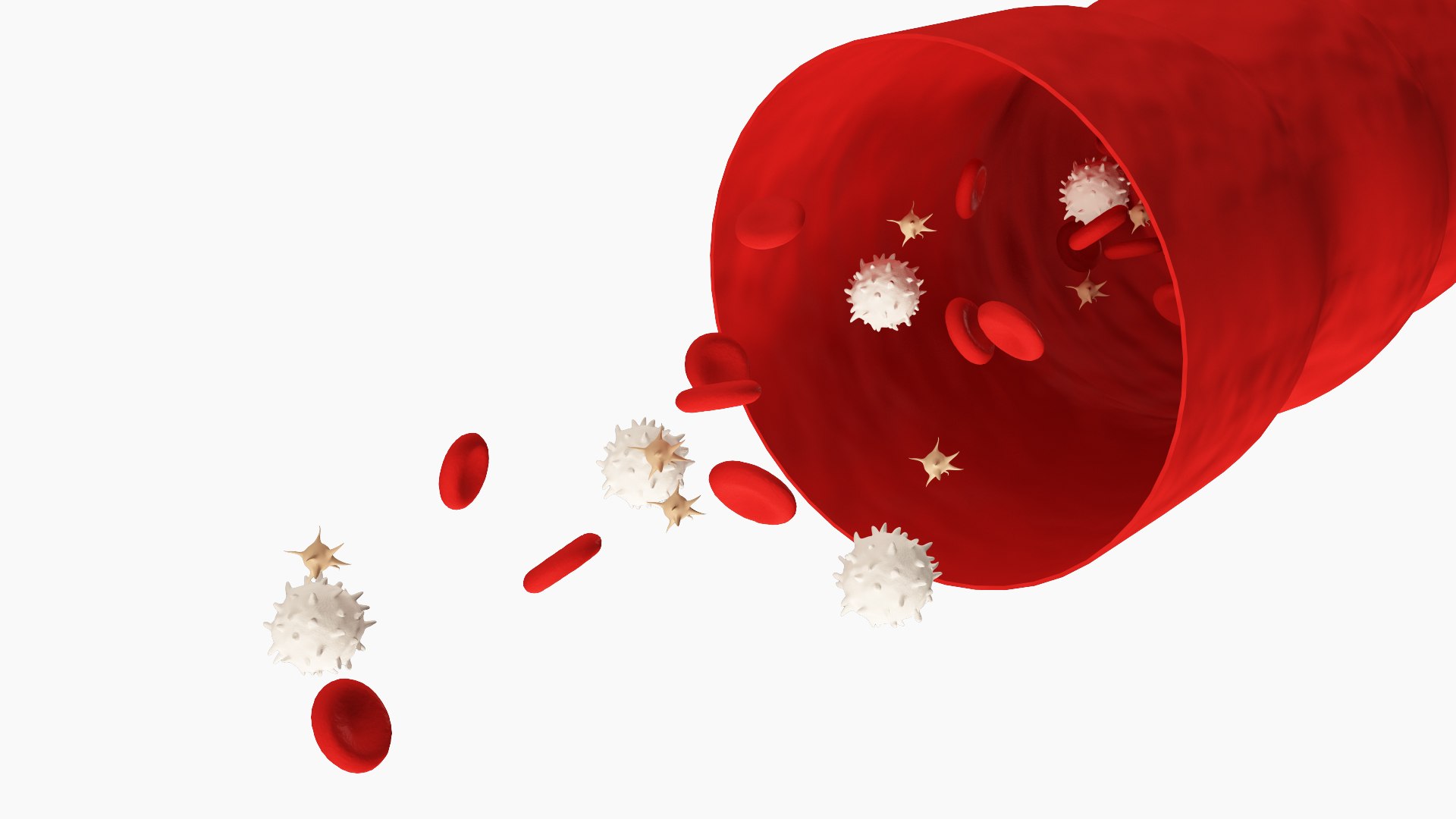 Bloodstream 3D Model - TurboSquid 1969384