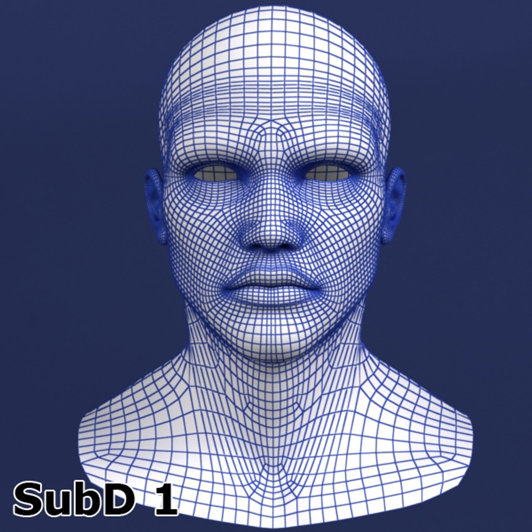 3d Male Head Model