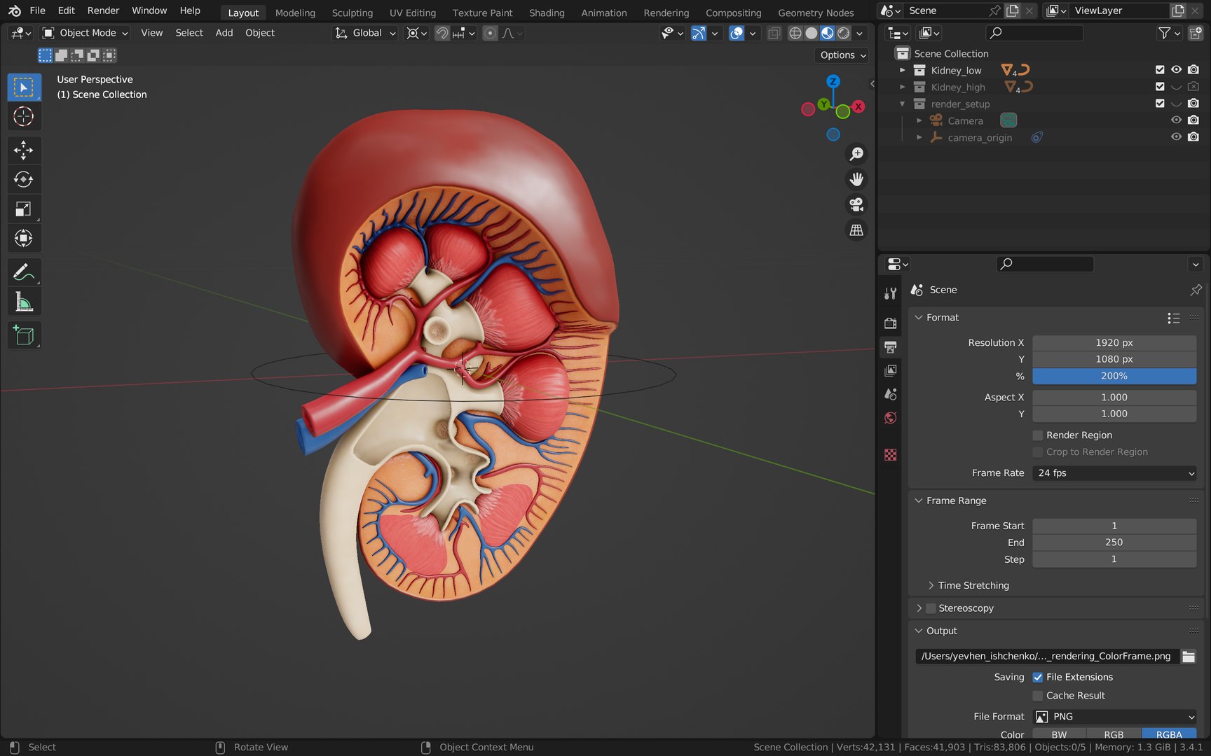 3D Model Collection Of Professional Human Kidney Structure Components - TurboSquid 2051192