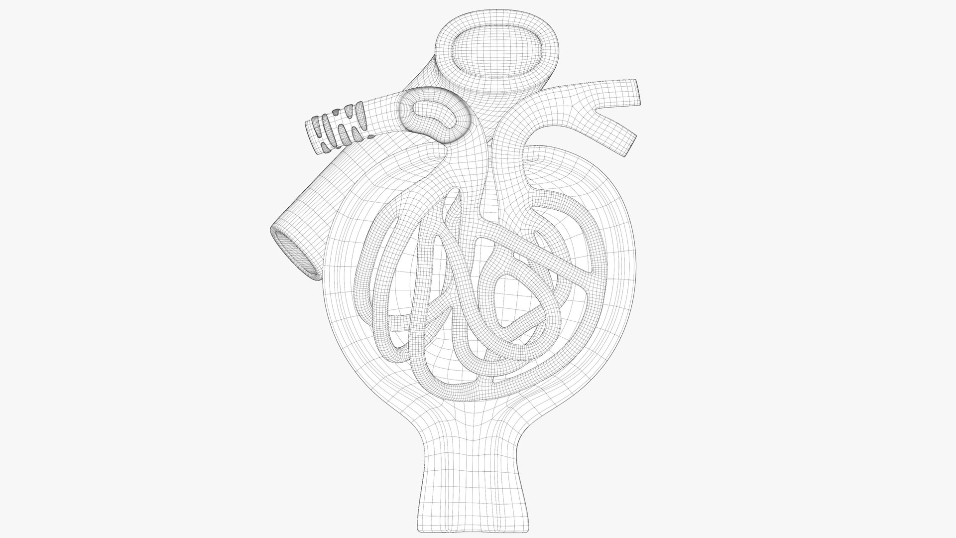 3D Model Collection Of Professional Human Kidney Structure Components ...