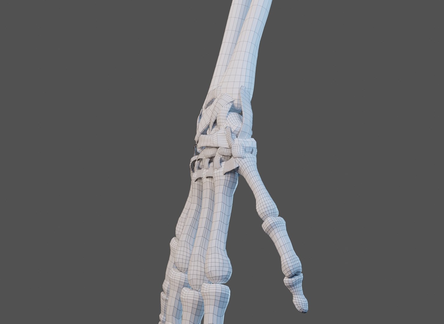3D model Wrist Joint Ligaments - TurboSquid 1951311