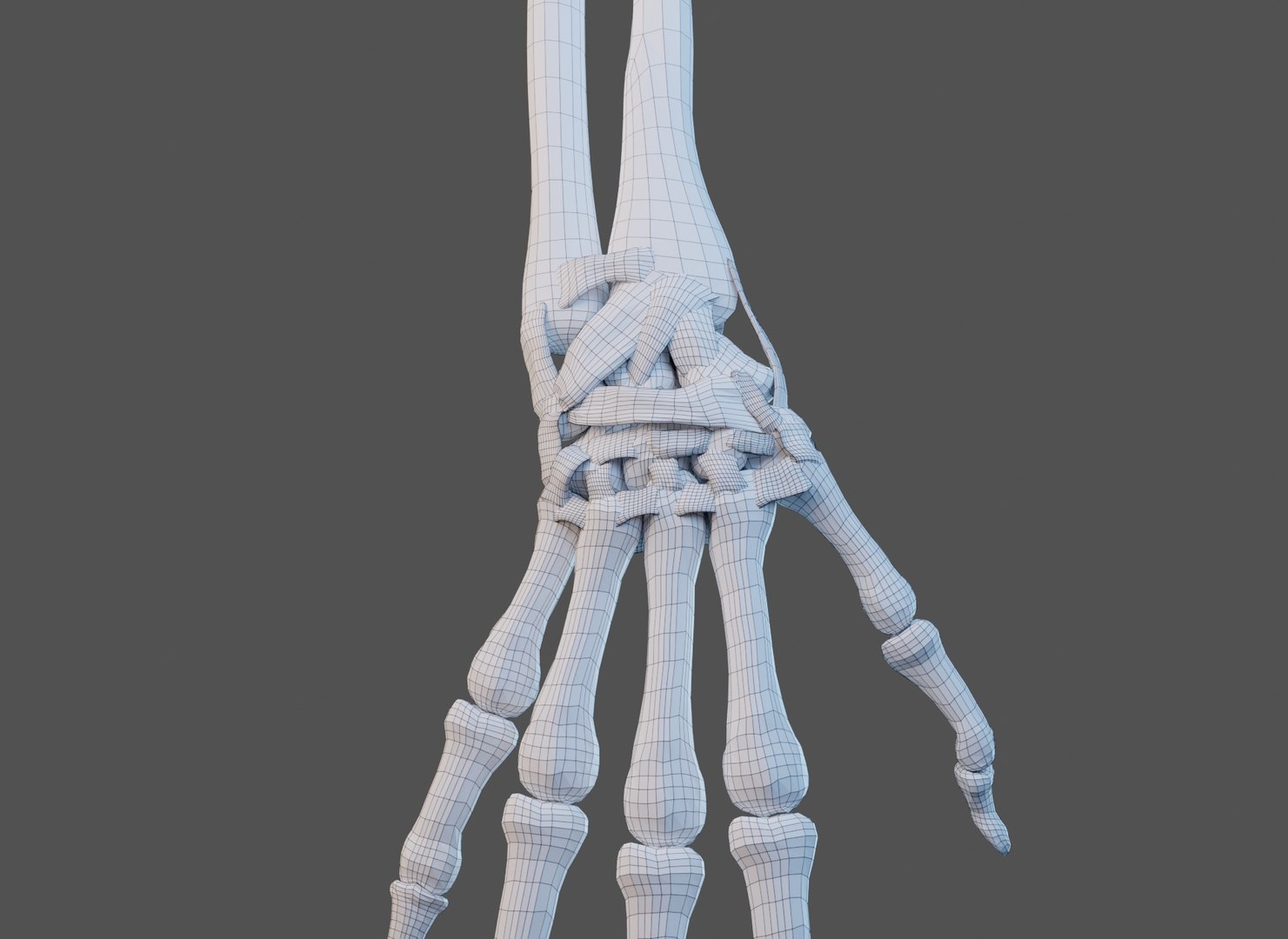 3D model Wrist Joint Ligaments - TurboSquid 1951311