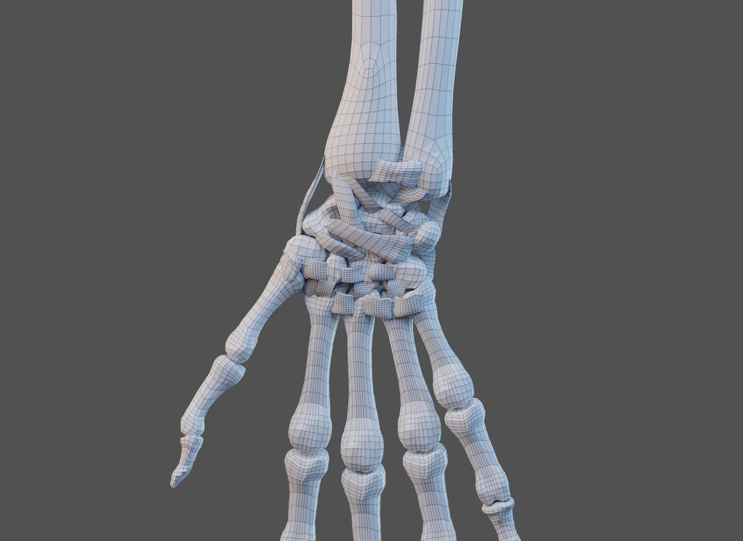 3D model Wrist Joint Ligaments - TurboSquid 1951311