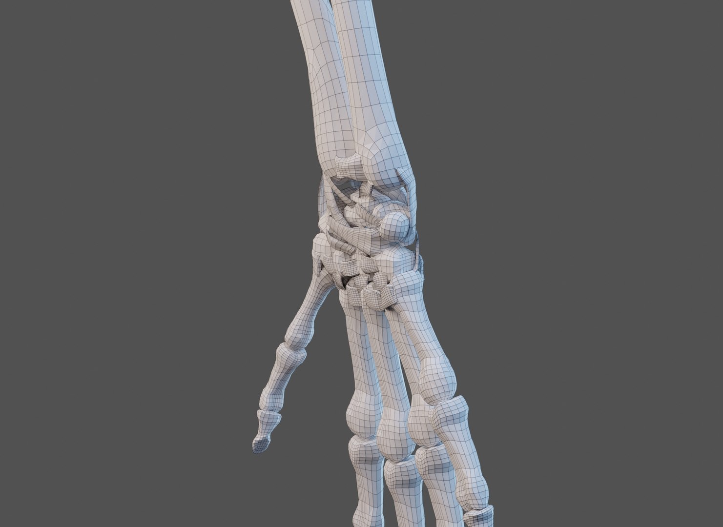 3D model Wrist Joint Ligaments - TurboSquid 1951311