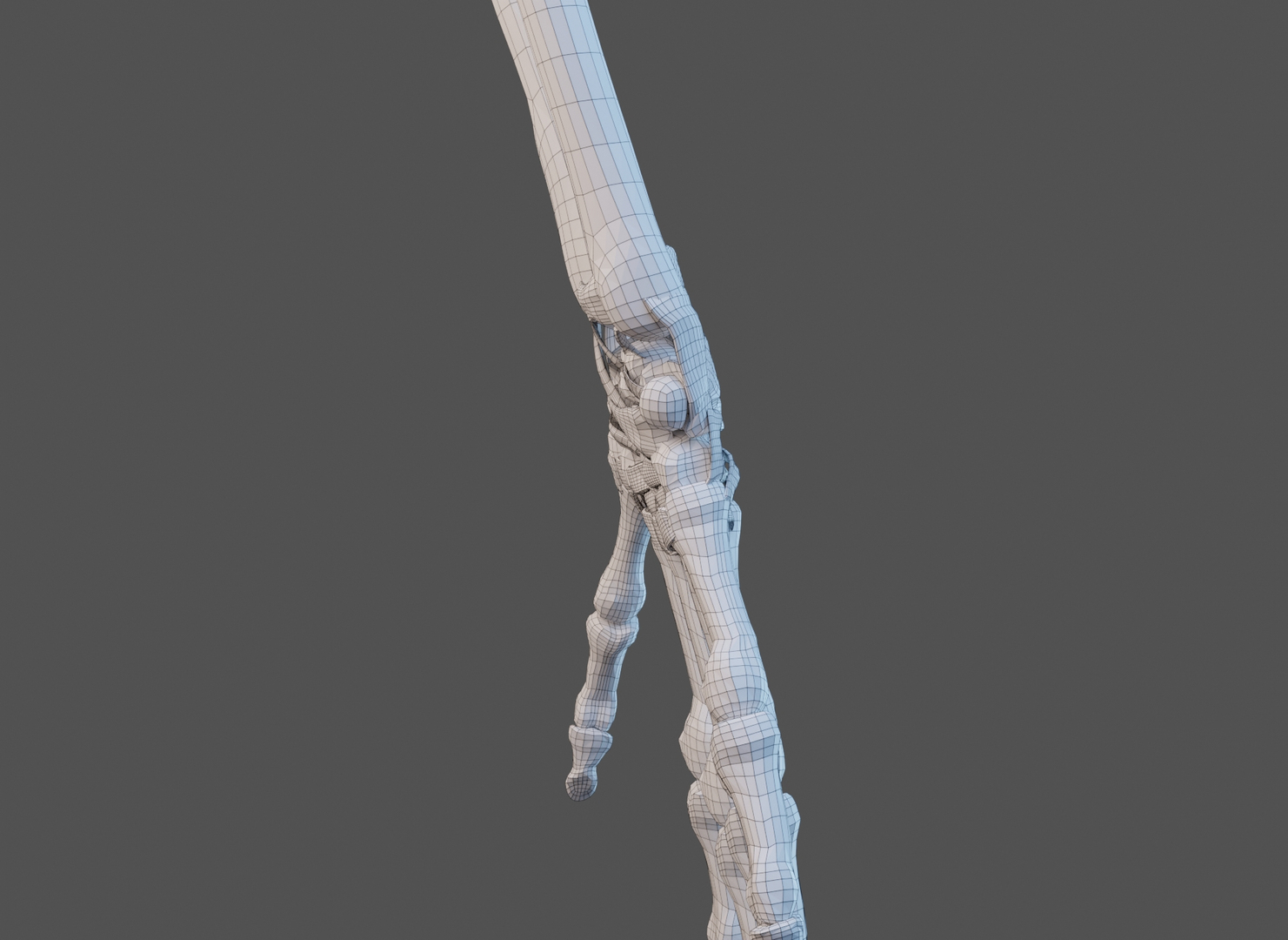 3D model Wrist Joint Ligaments - TurboSquid 1951311