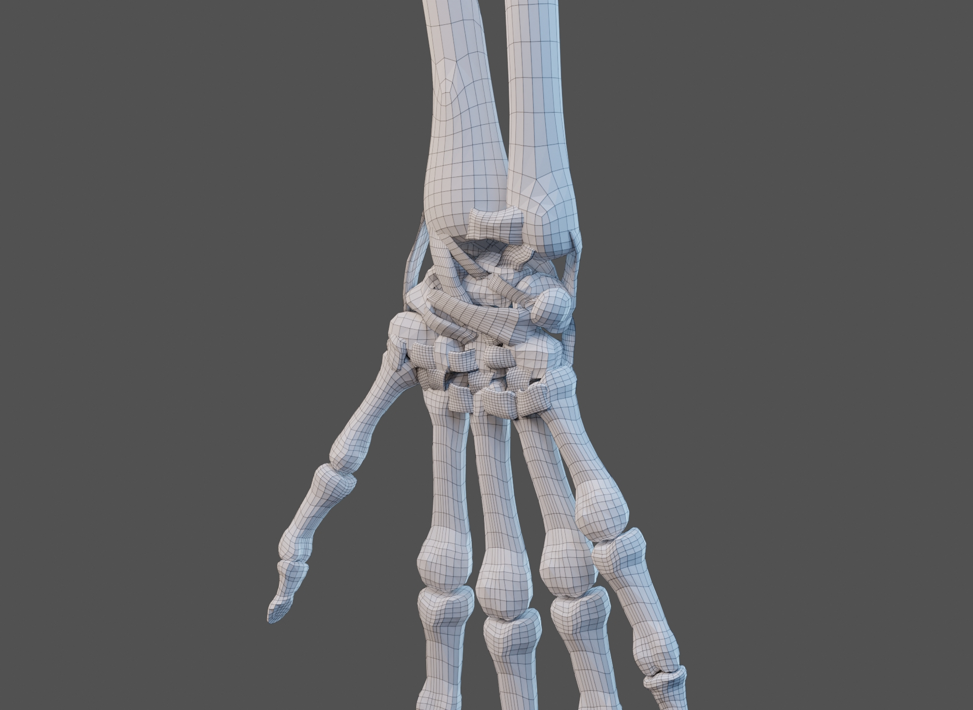 3D model Wrist Joint Ligaments - TurboSquid 1951311