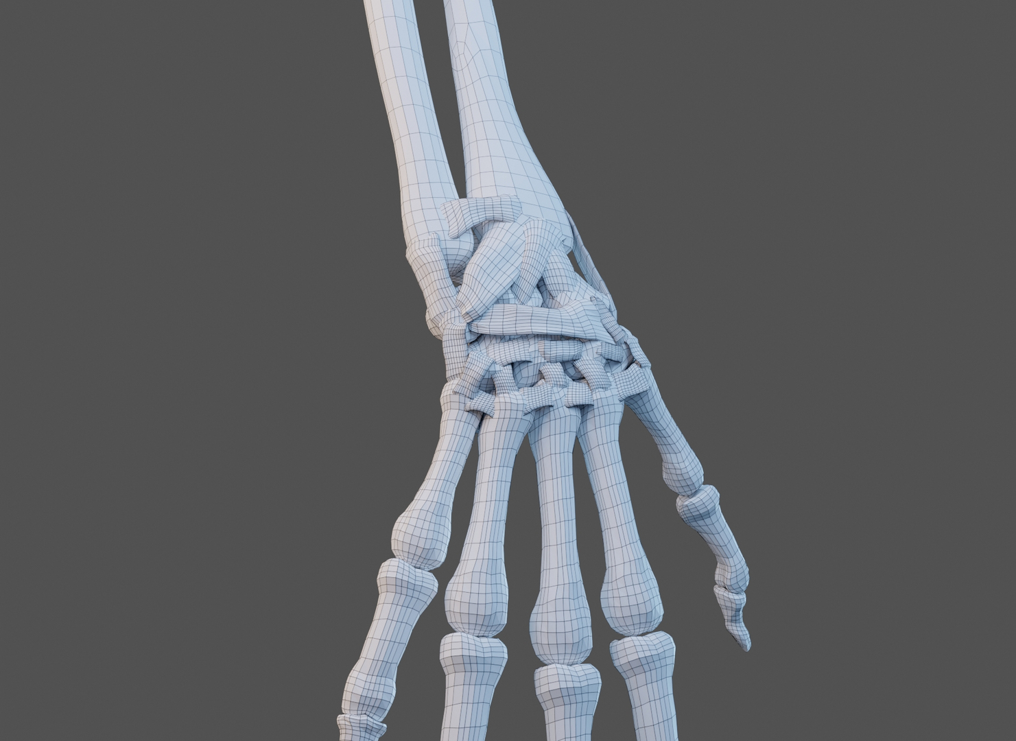 3D Model Wrist Joint Ligaments - TurboSquid 1951311