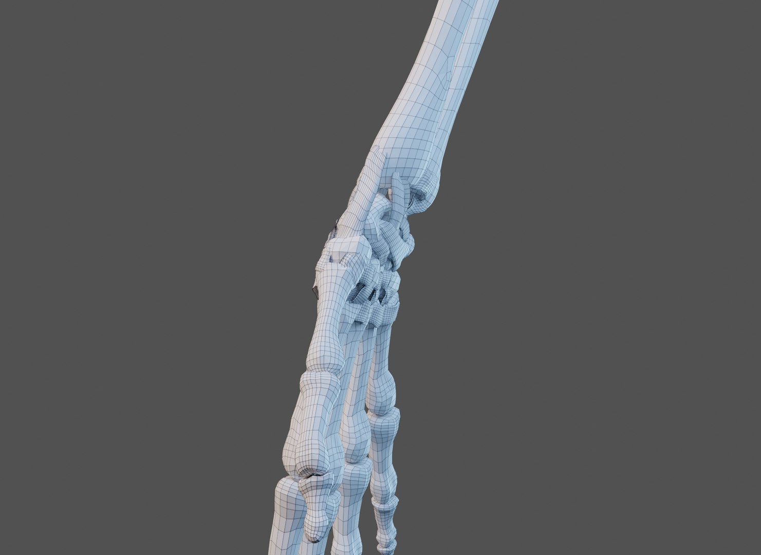 3D model Wrist Joint Ligaments - TurboSquid 1951311