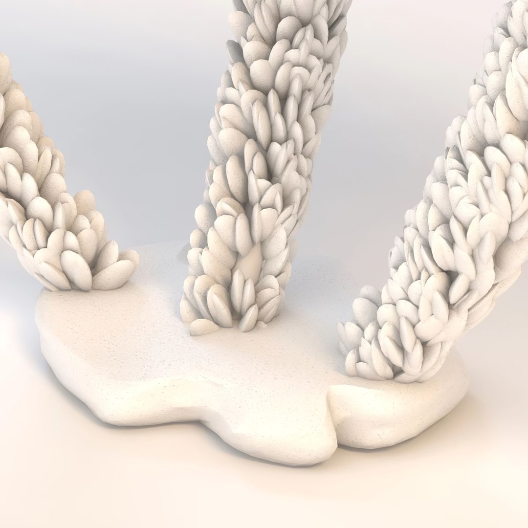 3D Mussel Shell Console Table Model - TurboSquid 2008279