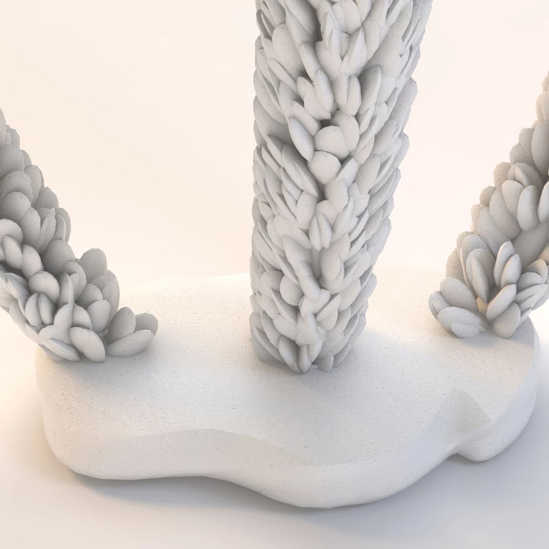 3D Mussel Shell Console Table Model - TurboSquid 2008279