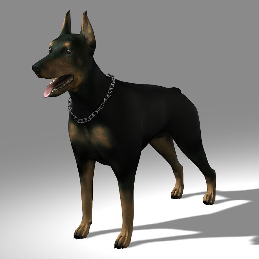 Obj Doberman Dobermann