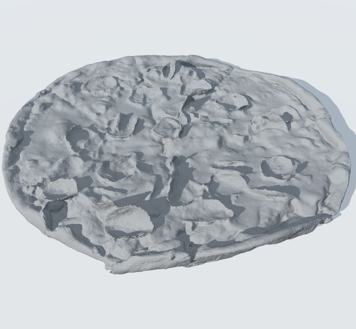 Scan Pizza Obj