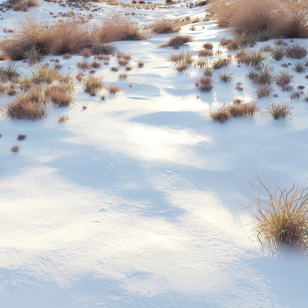 3D Snowy Biome 02 Model - TurboSquid 2411399